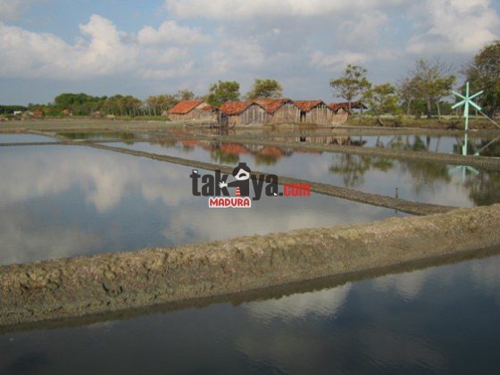 Pulau Garam Madura, Penghasil Garam Nasional - tak-iya.com